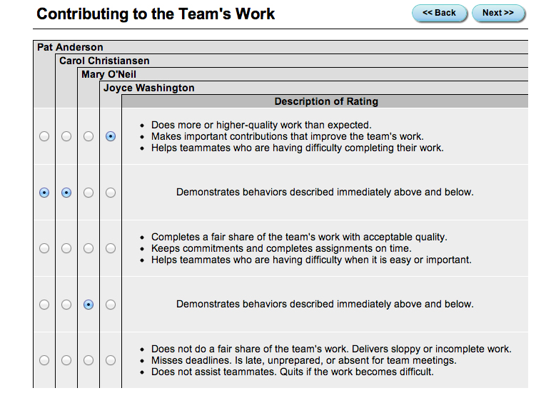 Peer Evaluation CATME